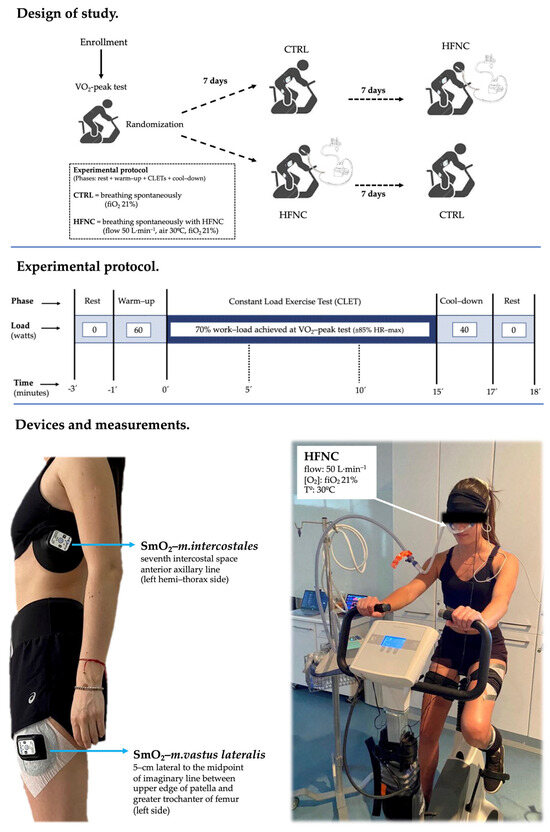Biosensors | Free Full-Text | Monitoring Changes in Oxygen Muscle ...