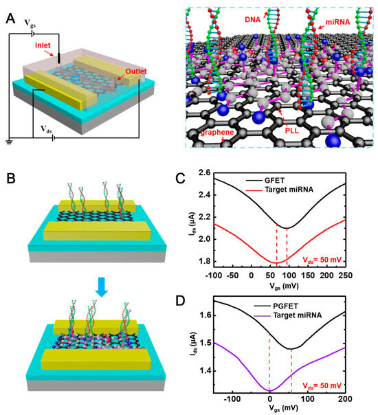 Biosensors | Free Full-Text | Alzheimer’s Disease Biomarker Detection ...