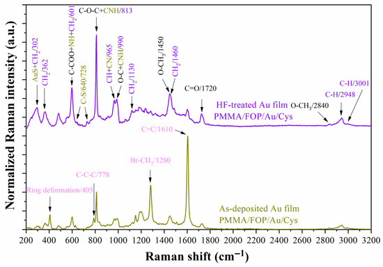 Surface Functionalization and Escherichia coli Detection Using Surface ...