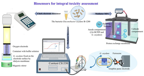 Electrochemical Biosensors for Express Analysis of the Integral ...