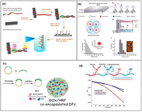 Enzyme Cascade Electrode Reactions with Nanomaterials and Their ...
