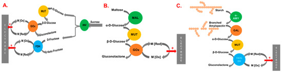 Enzyme Cascade Electrode Reactions with Nanomaterials and Their ...