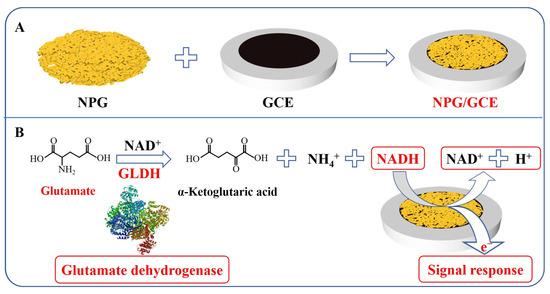 Integration of Glutamate Dehydrogenase and Nanoporous Gold for ...
