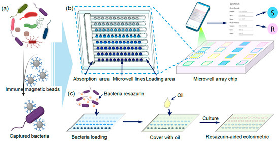 Cost-Efficient Micro-Well Array-Based Colorimetric Antibiotic ...