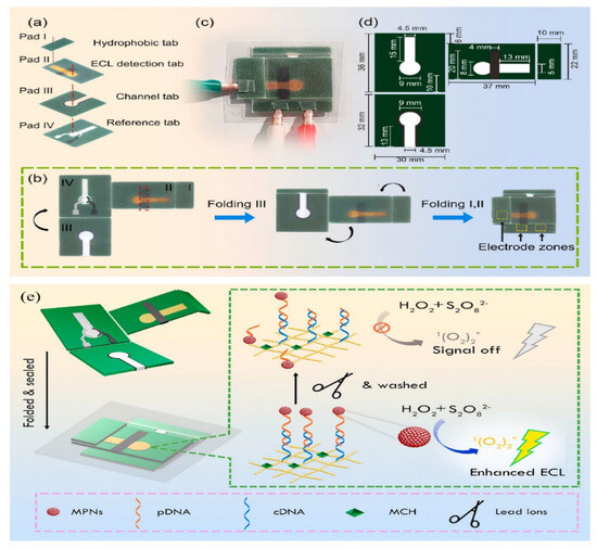 Engineered Electrochemiluminescence Biosensors for Monitoring Heavy ...