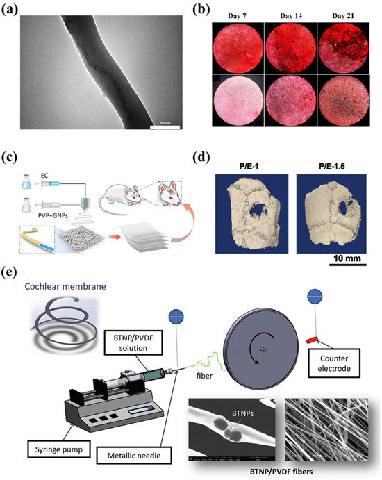 Multifunctional Electrospun Nanofibers for Biosensing and Biomedical Engineering Applications