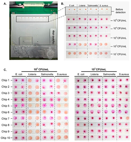 An All-in-One Platform for On-Site Multiplex Foodborne Pathogen ...