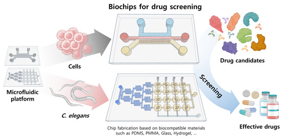 Biosensors | Free Full-Text | Microfluidics in High-Throughput Drug Screening: Organ-on-a-Chip ...