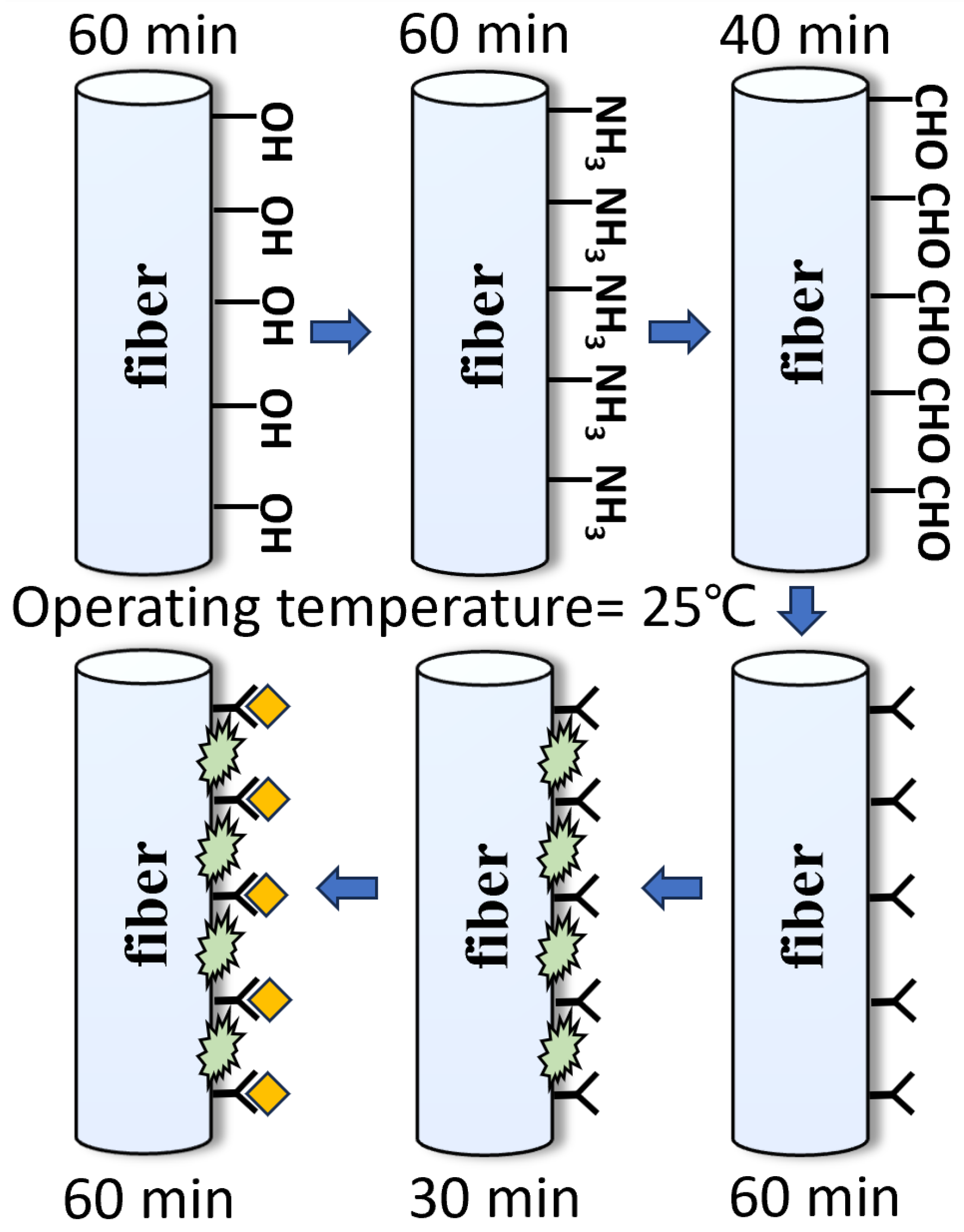 A Multimode Microfiber Specklegram Biosensor for Measurement of CEACAM5 through AI Diagnosis