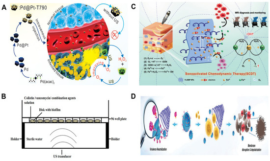 Advances in Engineered Nano-Biosensors for Bacteria Diagnosis and ...