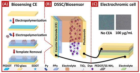 Electrochemically Synthesized MIP Sensors: Applications in Healthcare ...