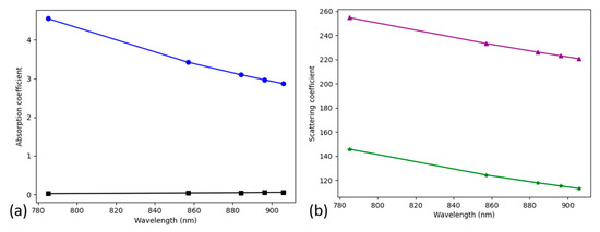 Surface-Enhanced Spatially Offset Raman Spectroscopy in Tissue
