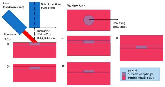 Surface-Enhanced Spatially Offset Raman Spectroscopy in Tissue