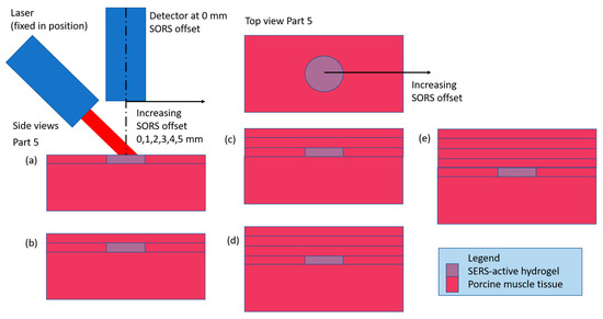 Surface-Enhanced Spatially Offset Raman Spectroscopy in Tissue