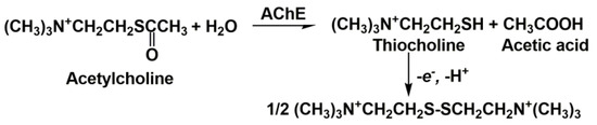 Electrochemical Acetylcholinesterase Sensors for Anti-Alzheimer’s ...