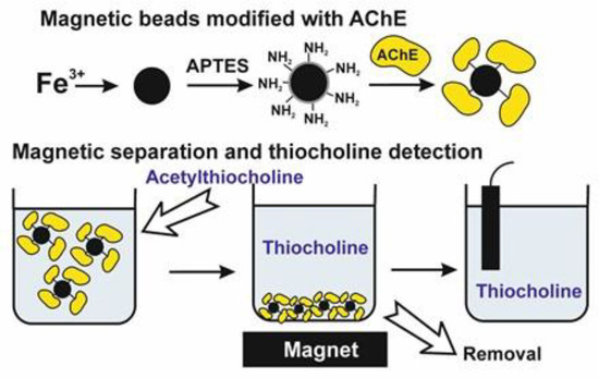 Electrochemical Acetylcholinesterase Sensors for Anti-Alzheimer’s ...