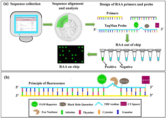 Current Trends in RNA Virus Detection via Nucleic Acid Isothermal ...