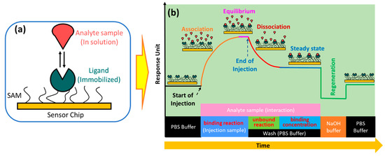 Unraveling the Dynamics of SARS-CoV-2 Mutations: Insights from Surface ...