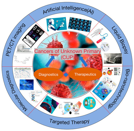 Advances in Cancer Research: Current and Future Diagnostic and ...