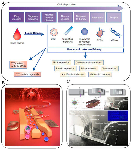 Advances in Cancer Research: Current and Future Diagnostic and ...