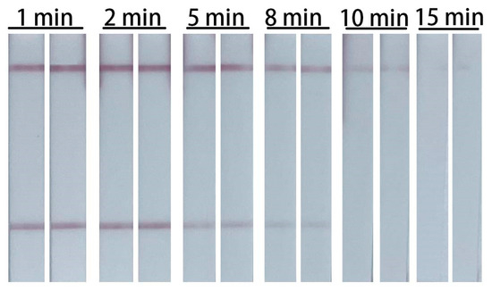 Lateral Flow Biosensor for On-Site Multiplex Detection of Viruses Based ...