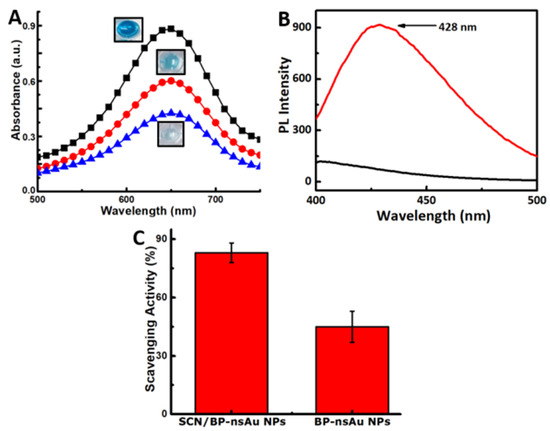 Enhanced Nanozymatic Activity on Rough Surfaces for H2O2 and ...