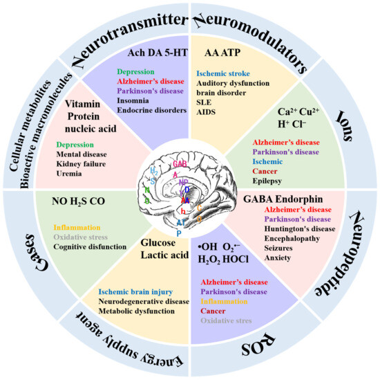 Advancements in Brain Research: The In Vivo/In Vitro Electrochemical ...