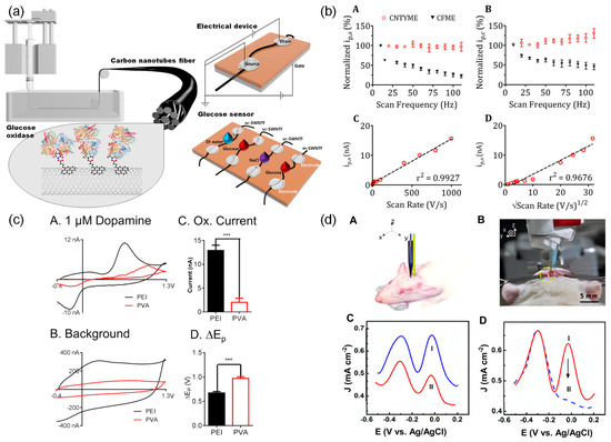Biosensors | Free Full-Text | Biomedical Applications of CNT-Based Fibers
