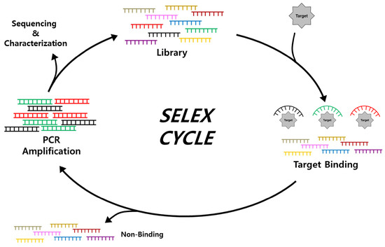 Aptamers and Nanobodies as New Bioprobes for SARS-CoV-2 Diagnostic and ...