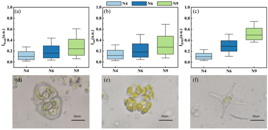Pulse Feature-Enhanced Classification of Microalgae and Cyanobacteria Using Polarized Light ...