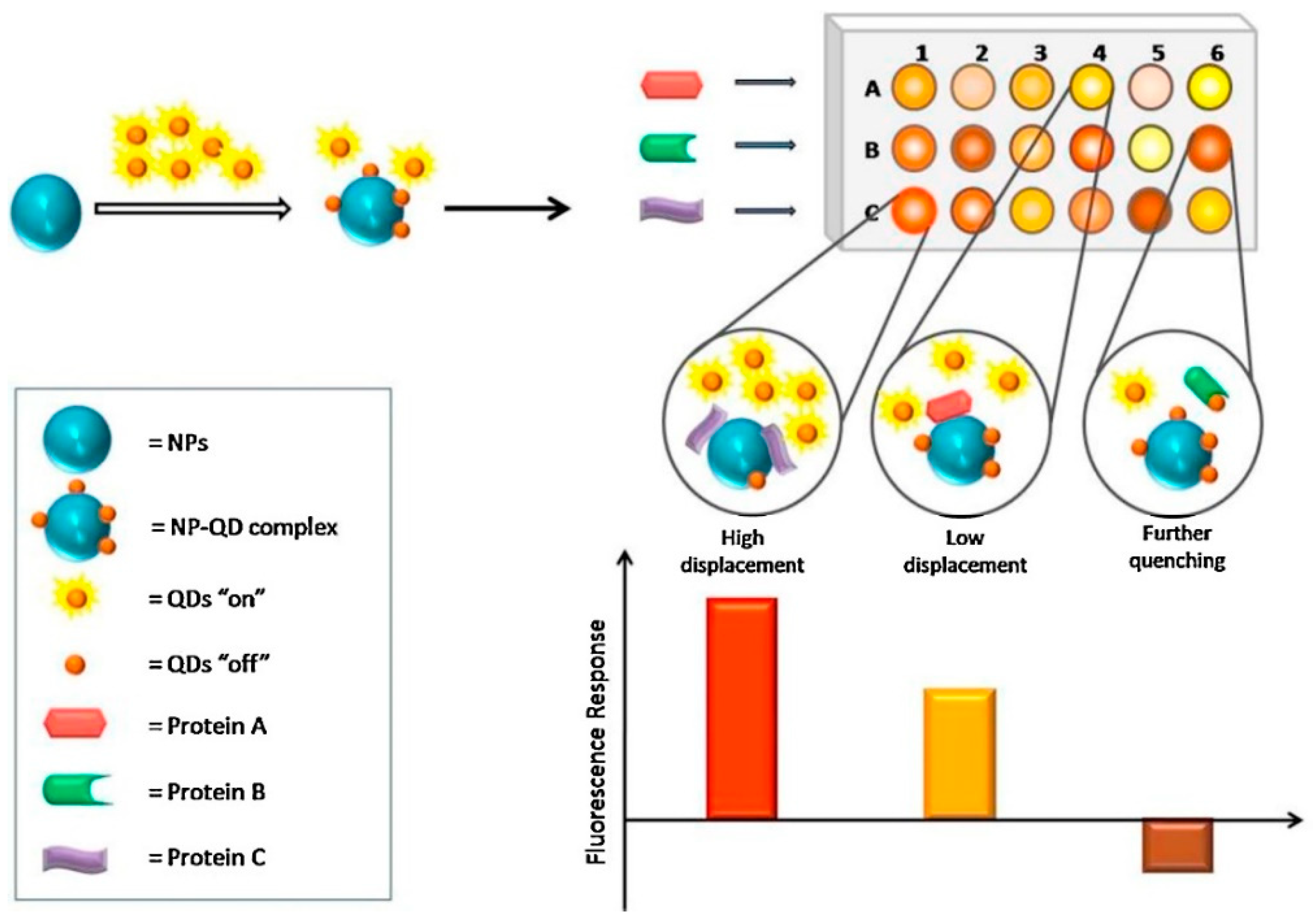 Biosensors | Free Full-Text | Development of Optical Differential ...
