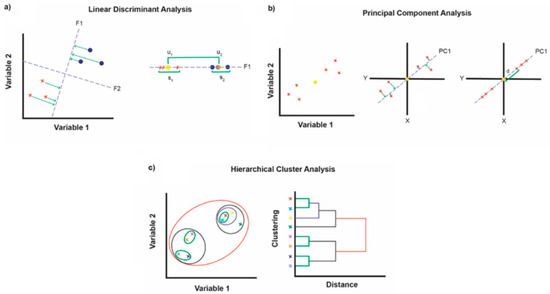 Biosensors | Free Full-Text | Development of Optical Differential ...