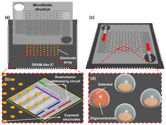 A Novel DNA Synthesis Platform Design with High-Throughput Paralleled ...