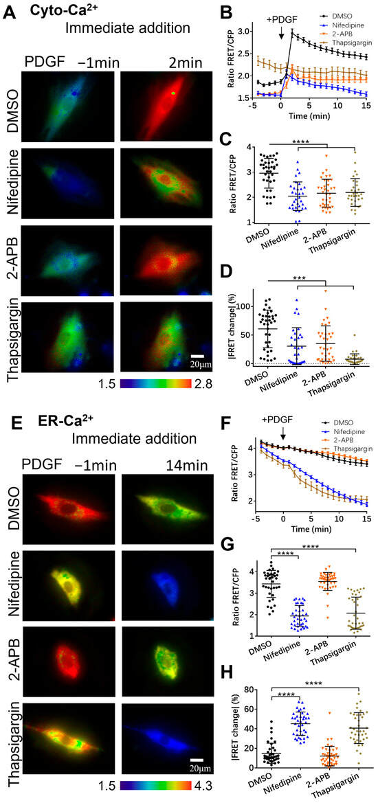 Characterization of PDGF-Induced Subcellular Calcium Regulation through ...