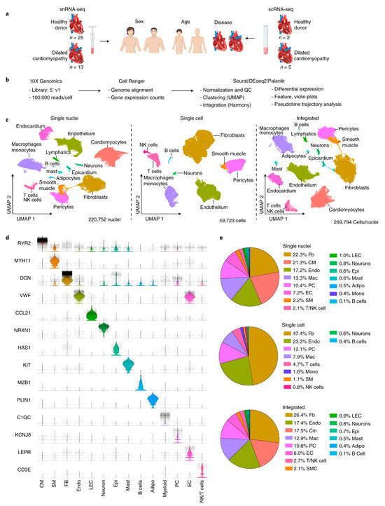 Single-Cell RNA Sequencing in Organ and Cell Transplantation