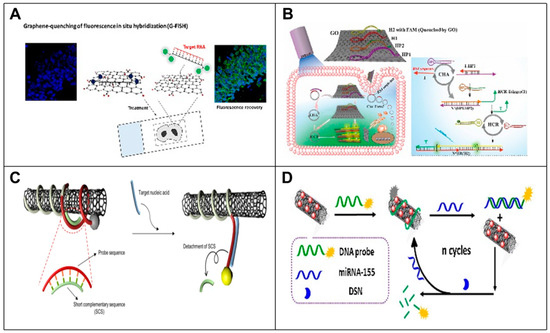 Biosensors | Free Full-Text | PCR Independent Strategy-Based Biosensors ...