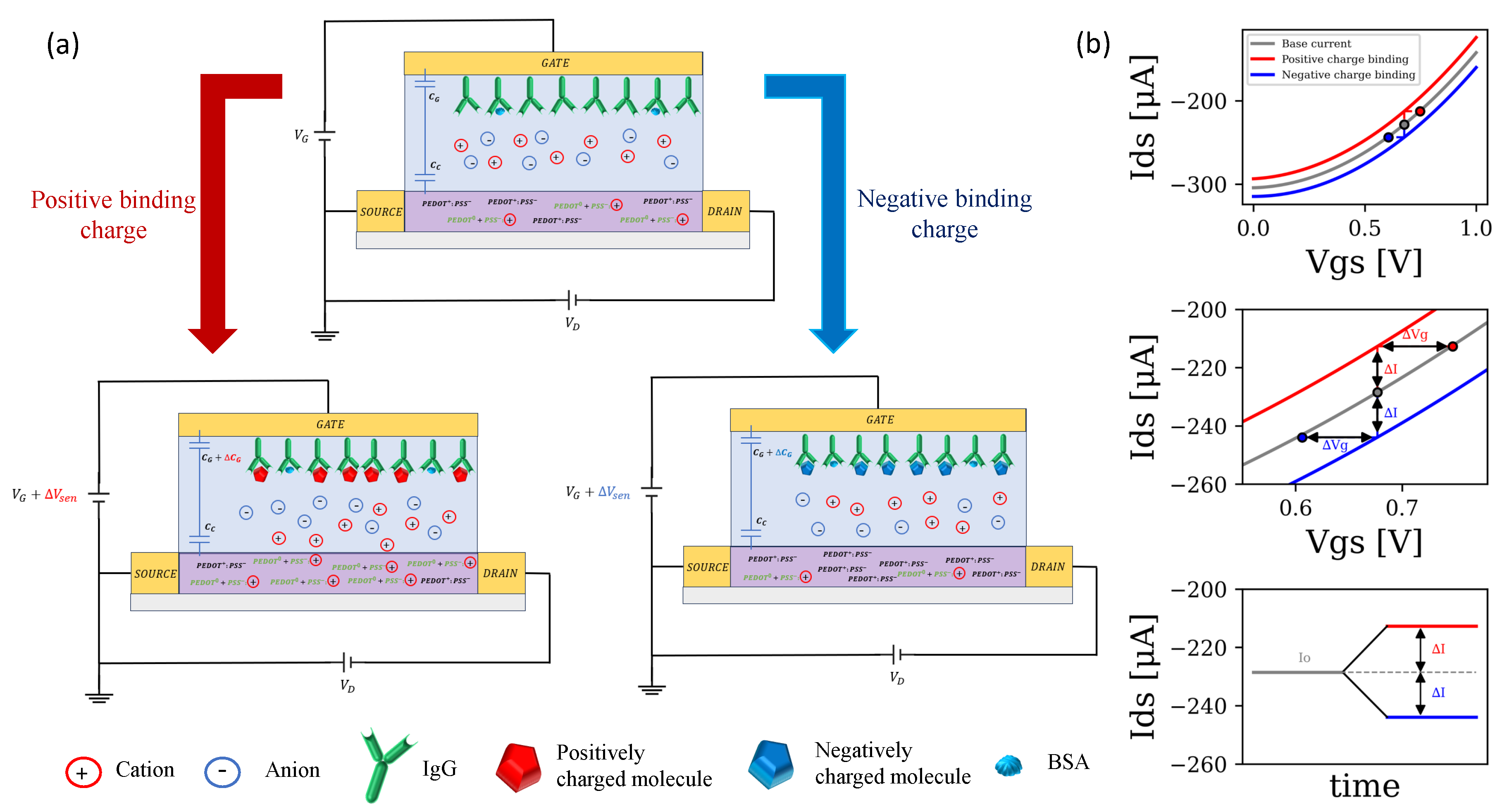 An Organic Electrochemical Transistor-Based Sensor for IgG Levels ...