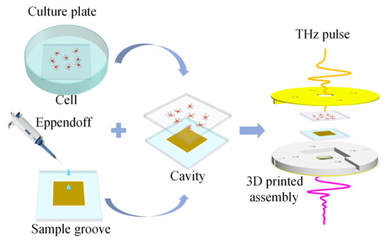 Detection of In Vivo-like Cells by a Biosensor Chip Based on ...
