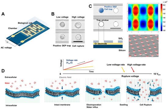 Biosensors | Free Full-Text | Microfluidic Electroporation Arrays for ...