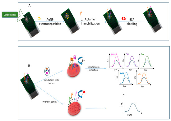Development of a Multiplexed Electrochemical Aptasensor for the ...