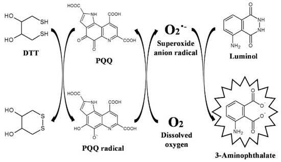 Optical Bioassays Based on the Signal Amplification of Redox Cycling