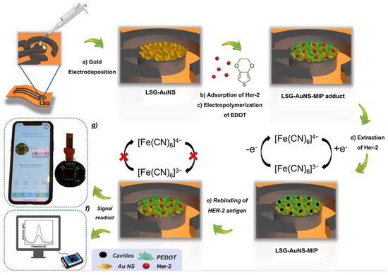 Macromolecule–Nanoparticle-Based Hybrid Materials for Macromolecule–Nanoparticle-Based Hybrid Materials for