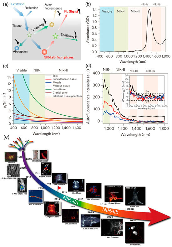 NIR-II Fluorescent Probes for Fluorescence-Imaging-Guided Tumor Surgery
