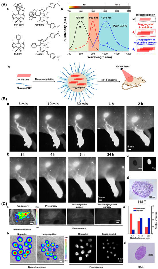 NIR-II Fluorescent Probes for Fluorescence-Imaging-Guided Tumor Surgery