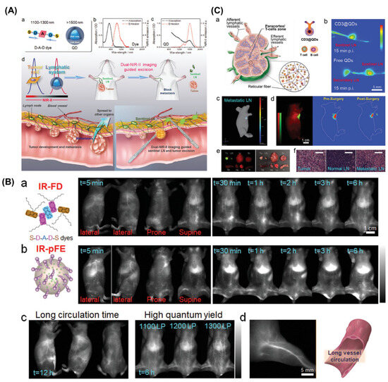 NIR-II Fluorescent Probes for Fluorescence-Imaging-Guided Tumor Surgery