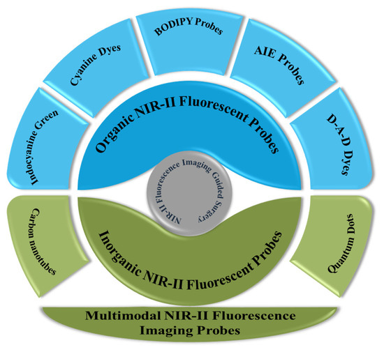 NIR-II Fluorescent Probes for Fluorescence-Imaging-Guided Tumor Surgery