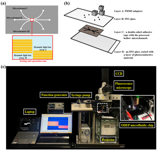 Biosensors | Free Full-Text | Combination of an Optically Induced ...