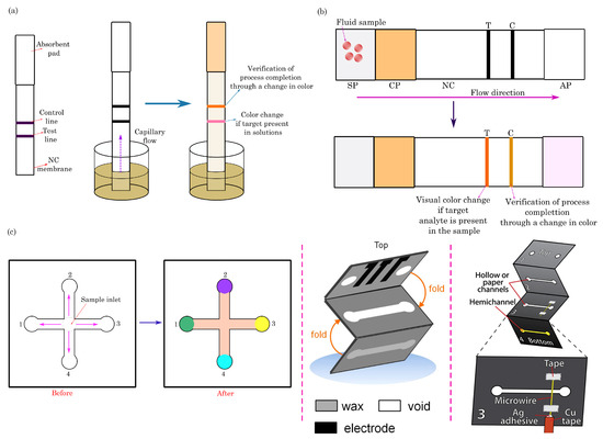 Biosensors | Free Full-Text | Sustainable Sensing with Paper ...