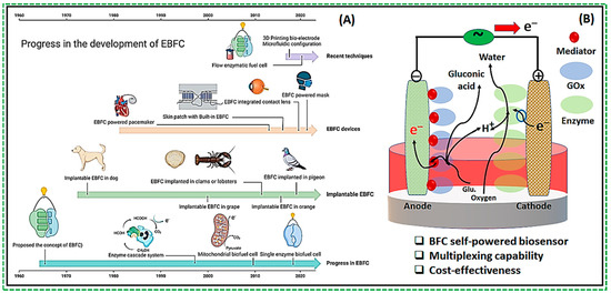 Fueling the Future: The Emergence of Self-Powered Enzymatic Biofuel ...