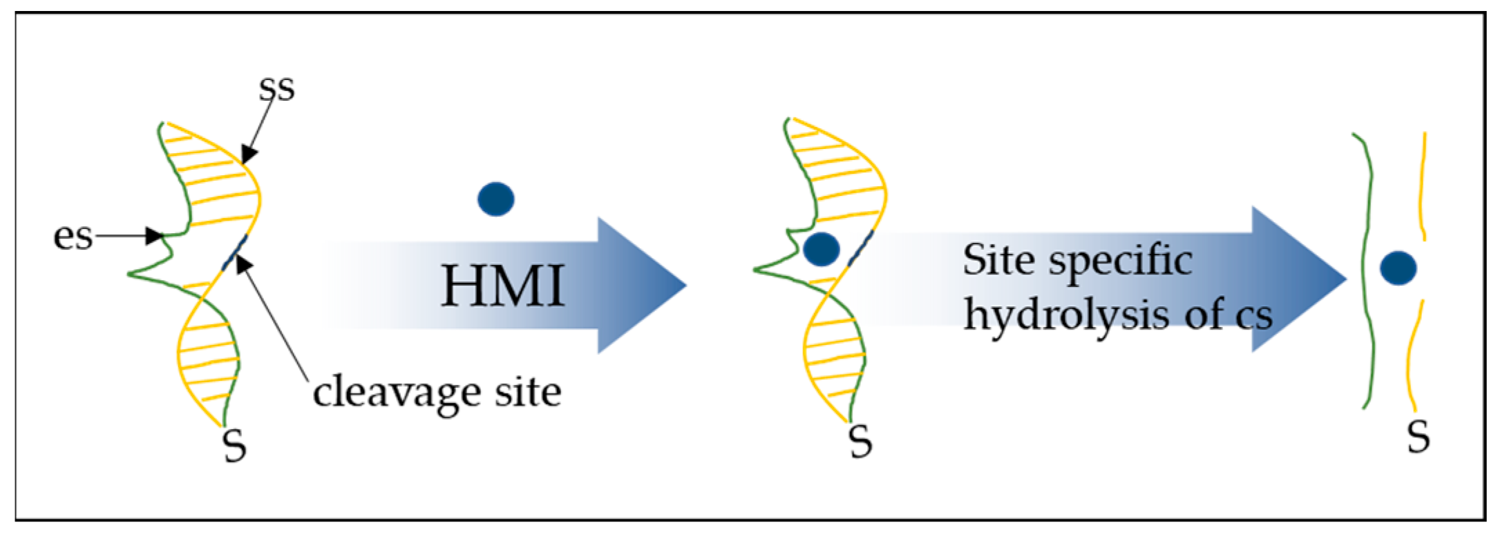 Non-Faradaic Impedimetric Detection of Heavy Metal Ions via a Hybrid ...
